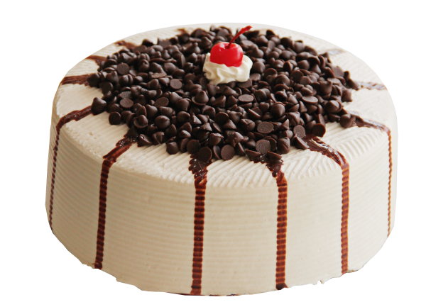 Inicio – Los Pasteles Caseros de Gaby